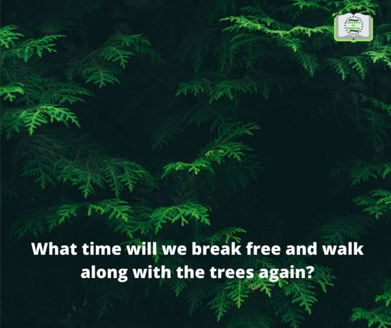 What time will we break free and walk along with the trees again?